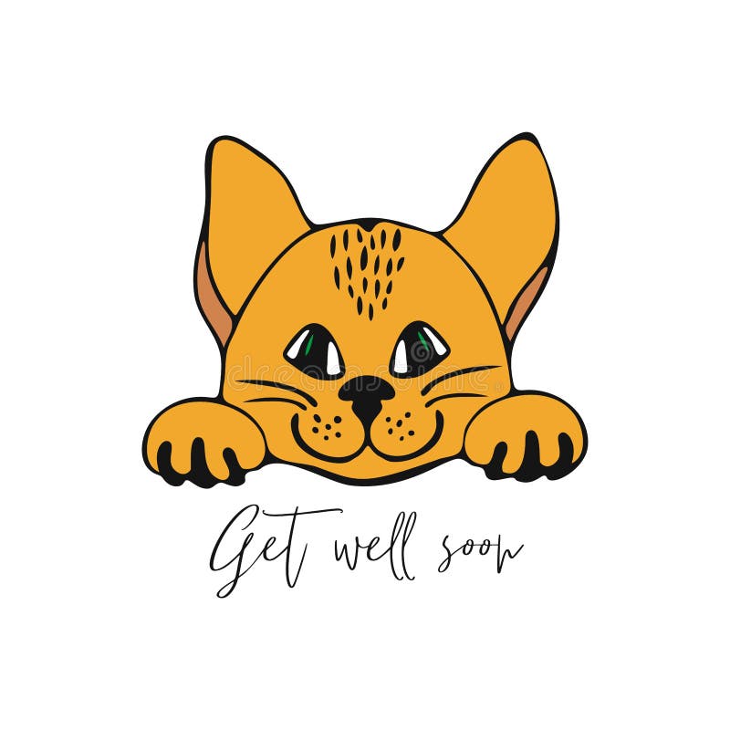 Get well cat stock illustration. Illustration of humor - 31744573