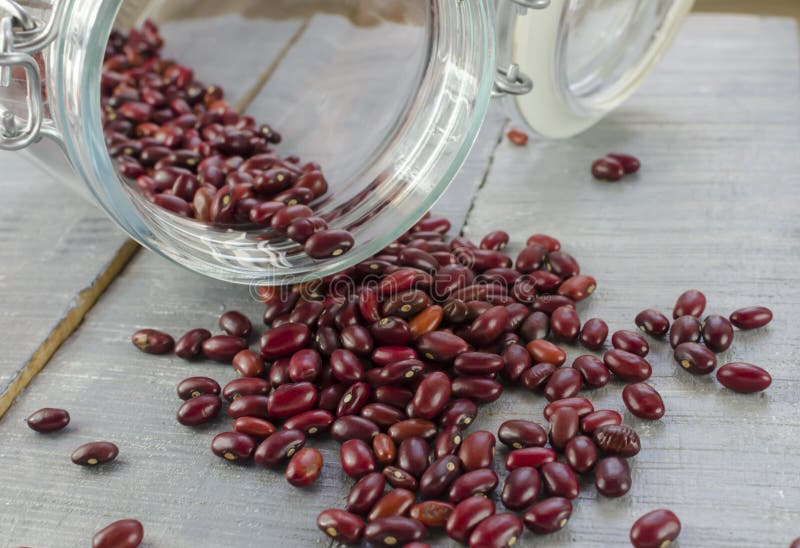 Getrocknetes Nierenbraun Sprenkelte Bohnen Das Konzept Der Richtigen ...
