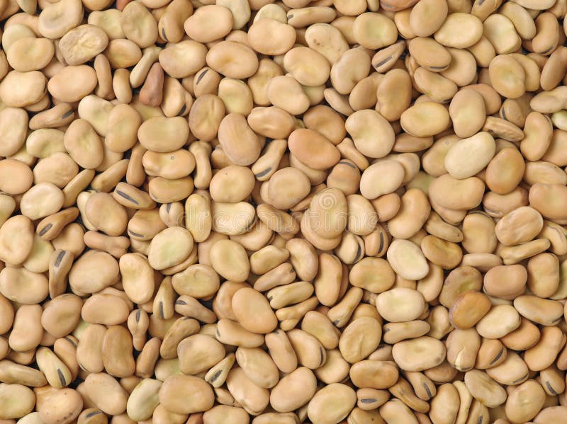 Getrocknete Saubohne stockbild. Bild von feinschmecker - 104741139