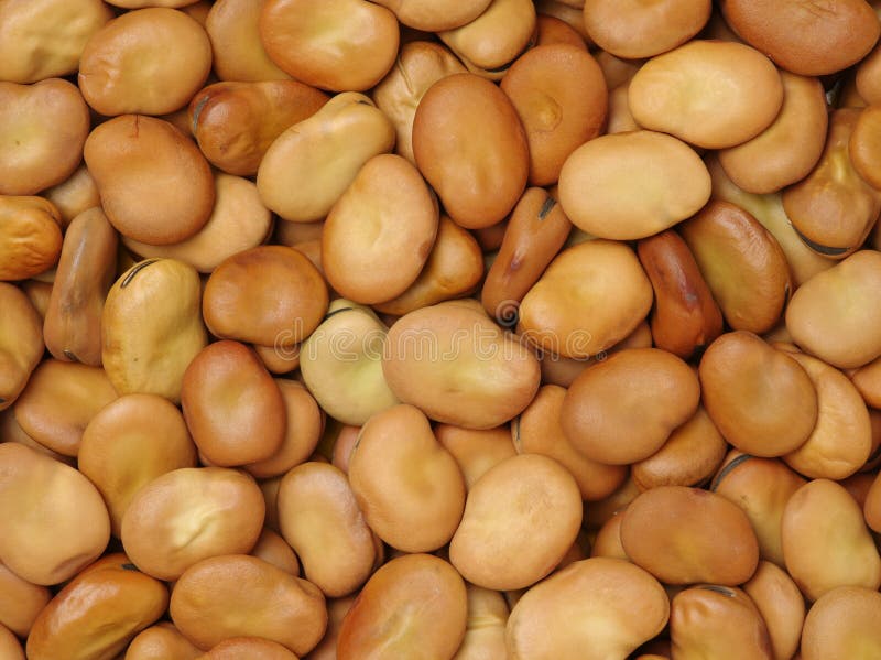 Getrocknete Saubohne stockbild. Bild von markt, bohne - 104741139