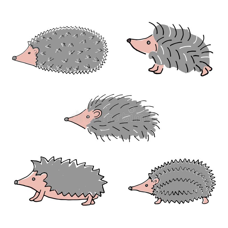 Egel Met Hand Getekende Vectordoedelillustratie. Cartoon Schattige Egel ...