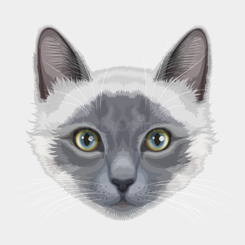 Gestileerde Kat Stock Illustrations, Vectors, & Clipart – (1,096 Stock ...