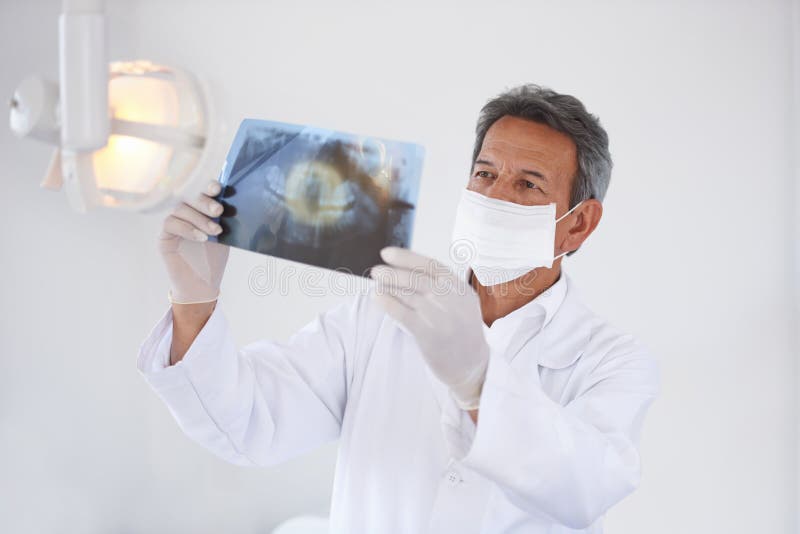 Getting a Closer Look. a Dentist Looking at an Xray. Stock Image ...