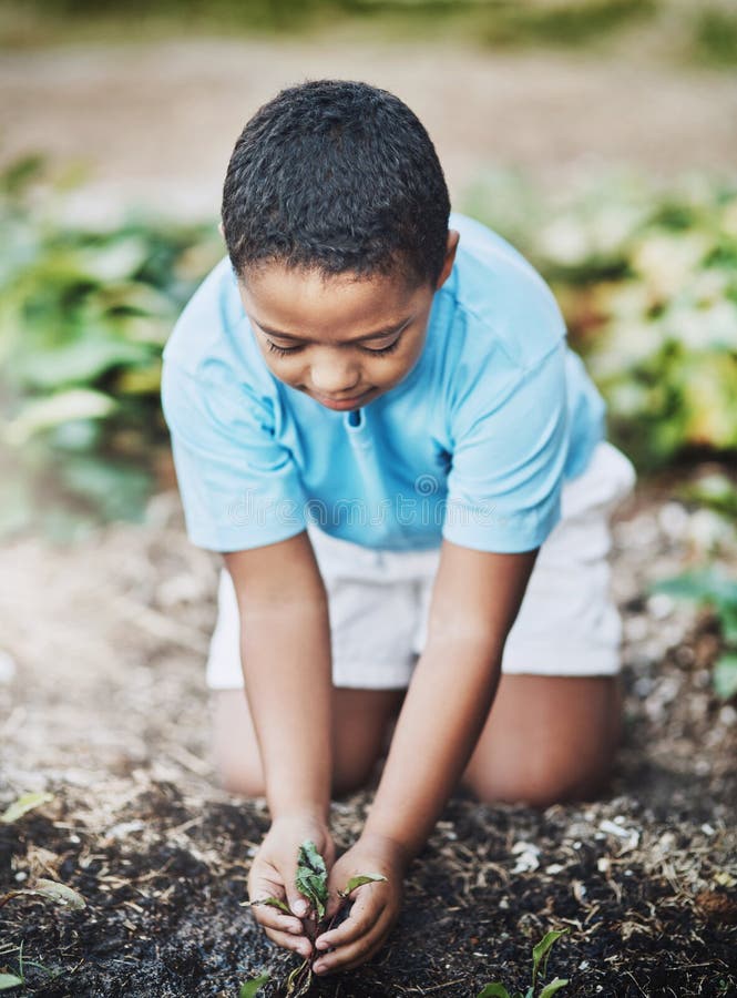 Getting a Green Start in Life. a Little Boy Gardening Outdoors. Stock ...