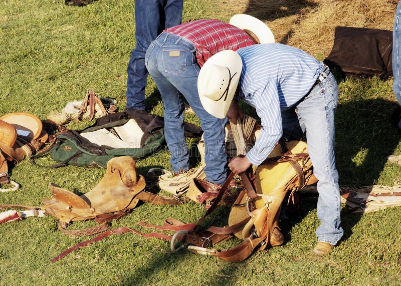 Getting Ready stock photo. Image of livestock, bareback - 335518