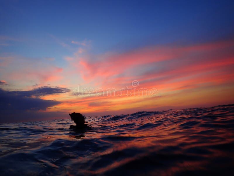 Getting Ready for an Adventure of Night and Sunset Dive with Beautiful ...