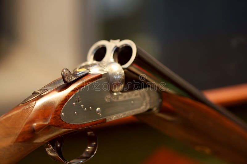 Hagelgeweer stock afbeelding. Image of aantal, grunge - 12651887