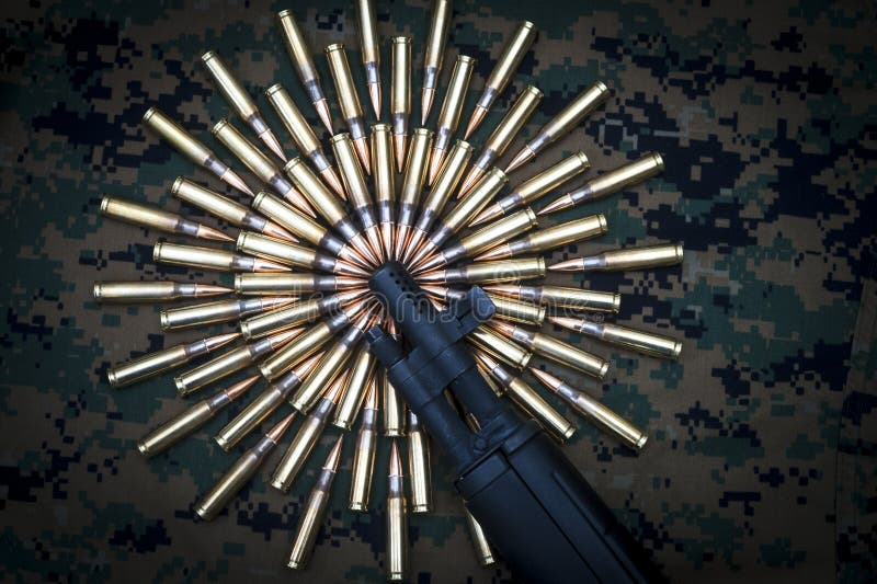 Geweersnuit En 308. Kalibermunitie Stock Afbeelding - Image of kogels ...