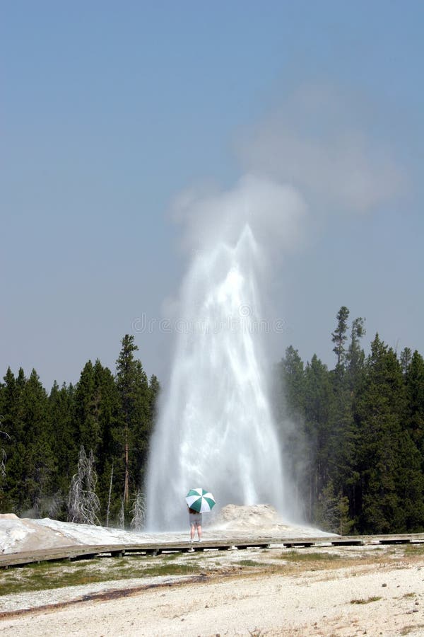 Geyser stock image. Image of park, water, steam, tree - 17660843