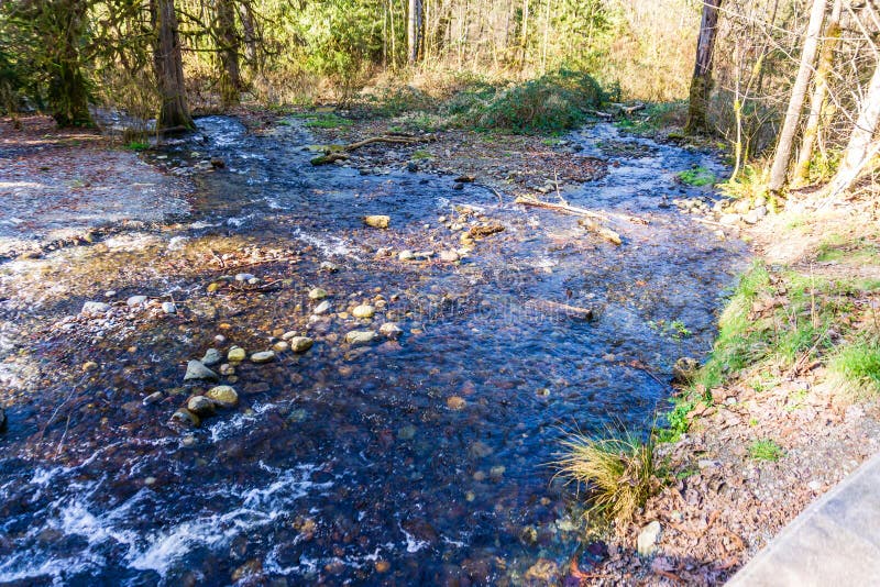 Geyser Park Stream stock image. Image of outdoors, washington - 270949069