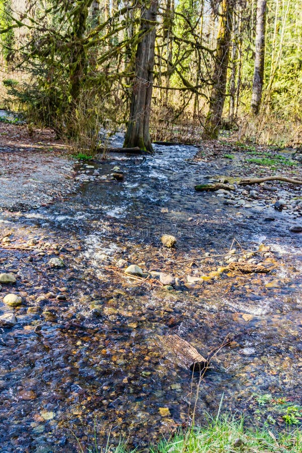 Geyser Park Stream 2 stock photo. Image of outdoors - 271225122