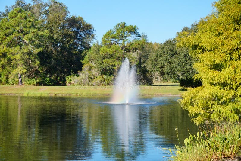 Geyser in a wind stock photo. Image of small, green - 200647062