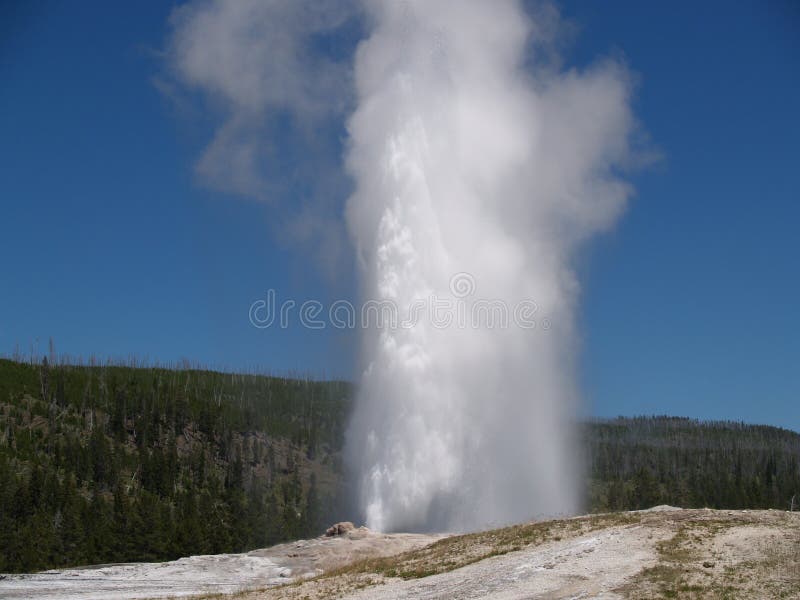 Calistoga S Old Faithful Geyser, California Stock Photo - Image of ...