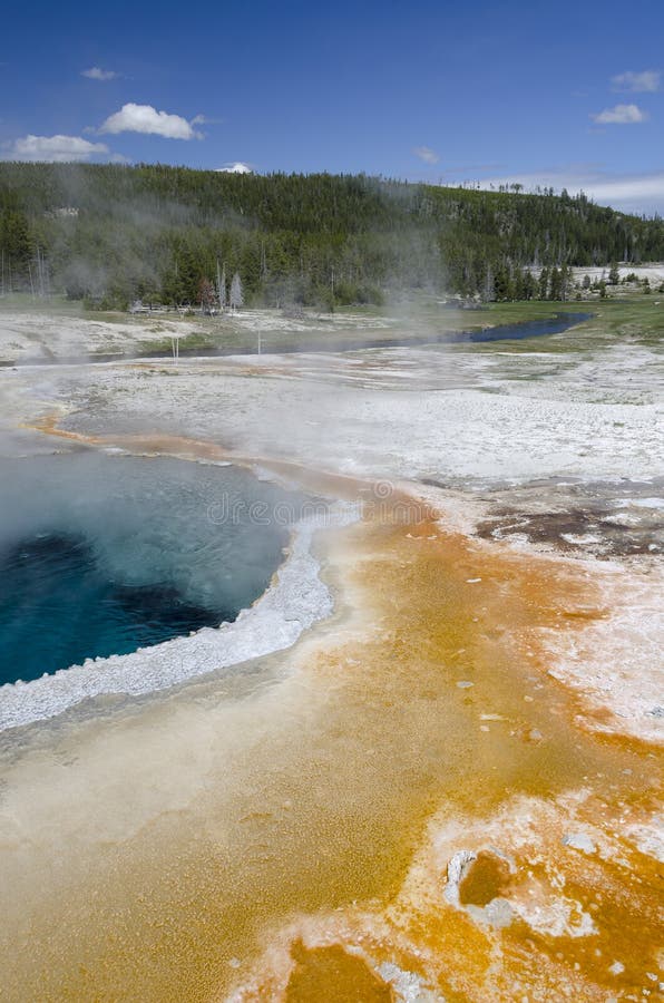 Geyser in Yellowstone stock photo. Image of color, national - 89432946