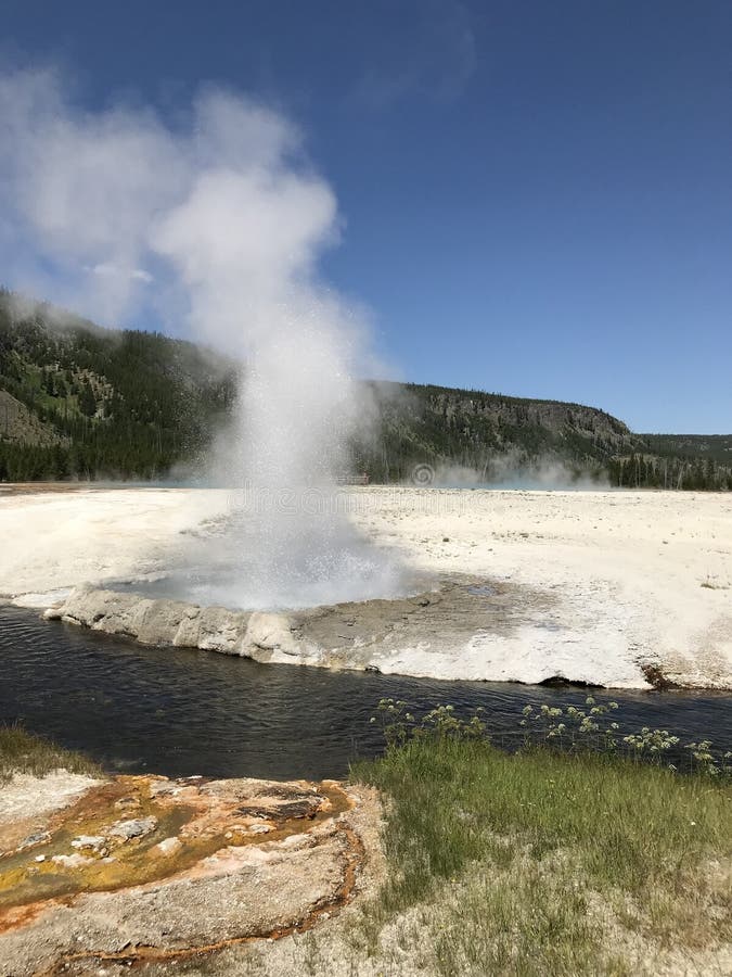 Geyser in Yellowstone National Park Stock Photo - Image of spring ...