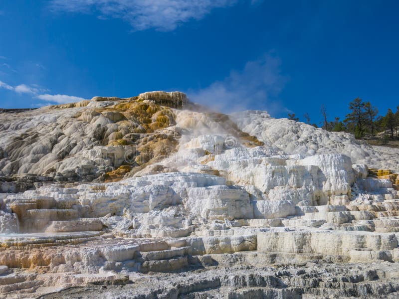 Geyser in Yellowstone National Park Stock Photo - Image of clear ...