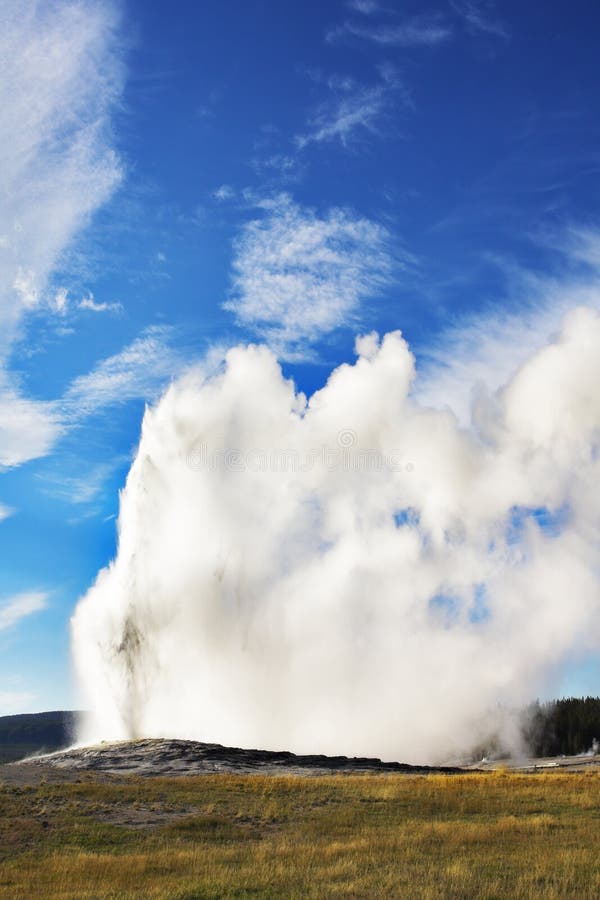 The Geyser in Yellowstone National Park Stock Image - Image of famous ...