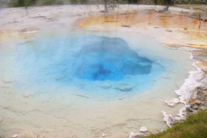 Geyser at yellowstone stock photo. Image of green, activity - 67157456