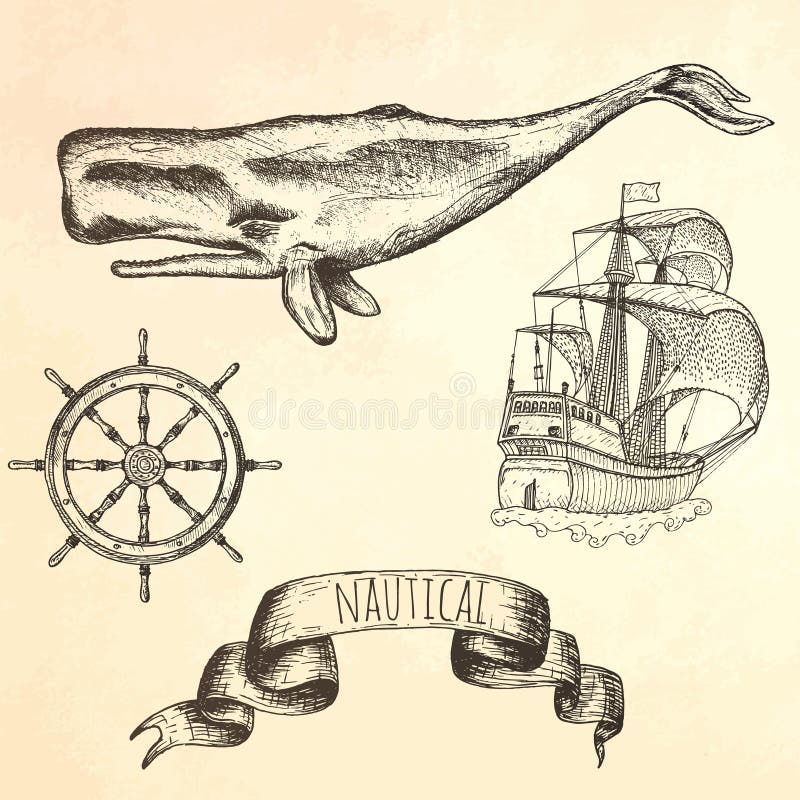 Gezeichneter Wal Des Stiches Hand Vektor Abbildung - Illustration von ...