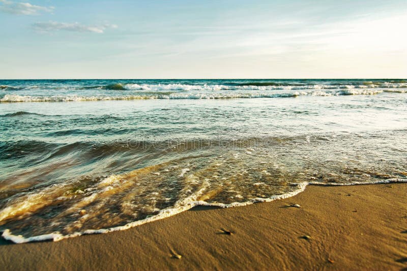 Gezeiten auf dem Strand stockfoto. Bild von exemplar - 31750406