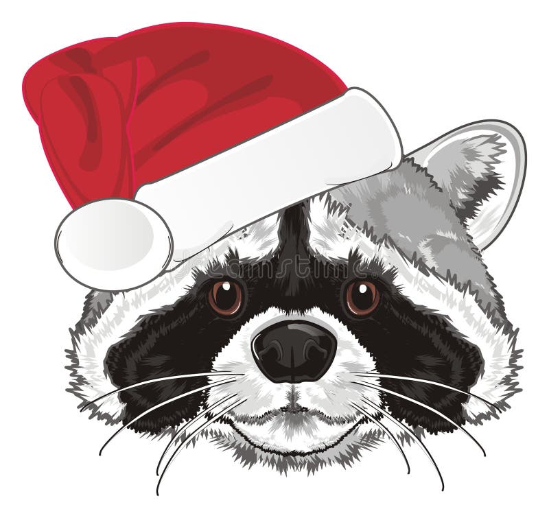 Wasbeer in rode hoed stock illustratie. Illustration of huisdier ...