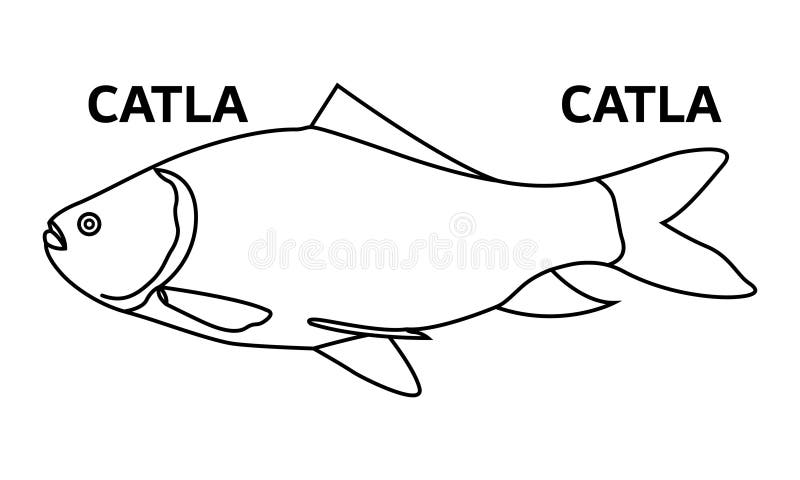 Catla Silhouette Outline Stock Illustrations – 3 Catla Silhouette ...