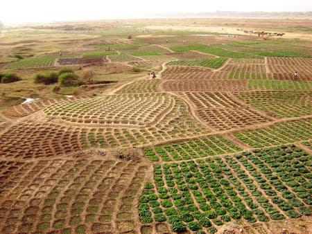 Ghana Fields - African Rural Landscape Stock Image - Image of line ...