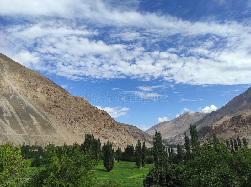 Ghasing Stock Photos - Free & Royalty-Free Stock Photos from Dreamstime