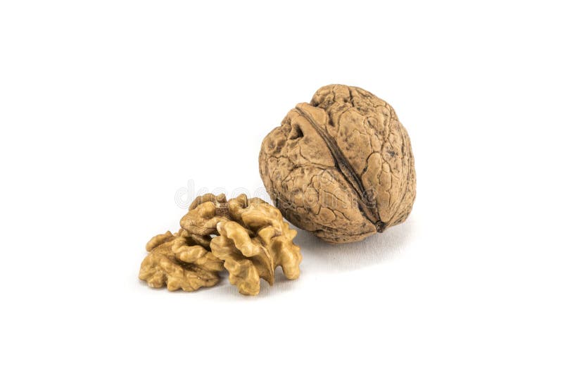 Gheriglio Con Le Coperture E Il Bakcground Bianco Immagine Stock ...