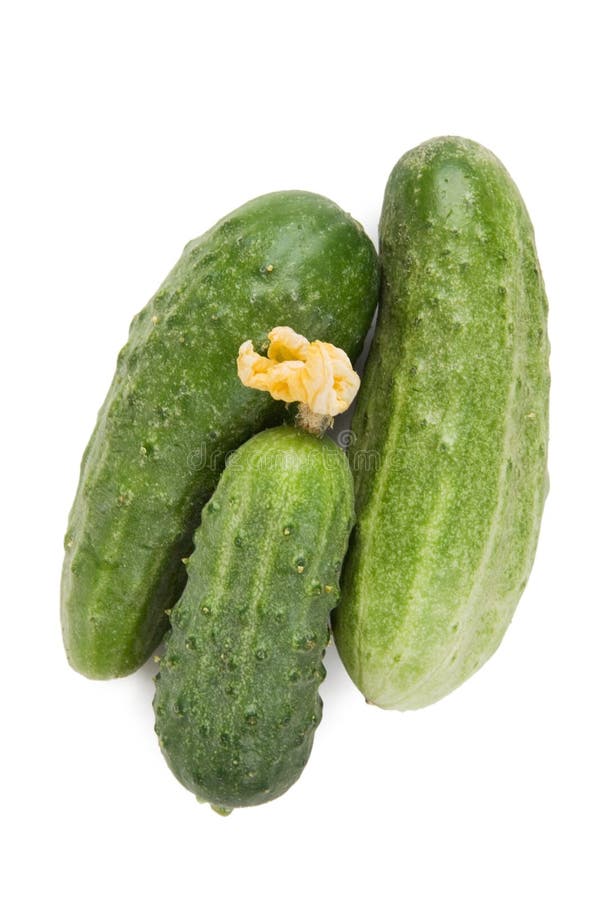 Gherkin. stock image. Image of protein, herb, market - 10943677