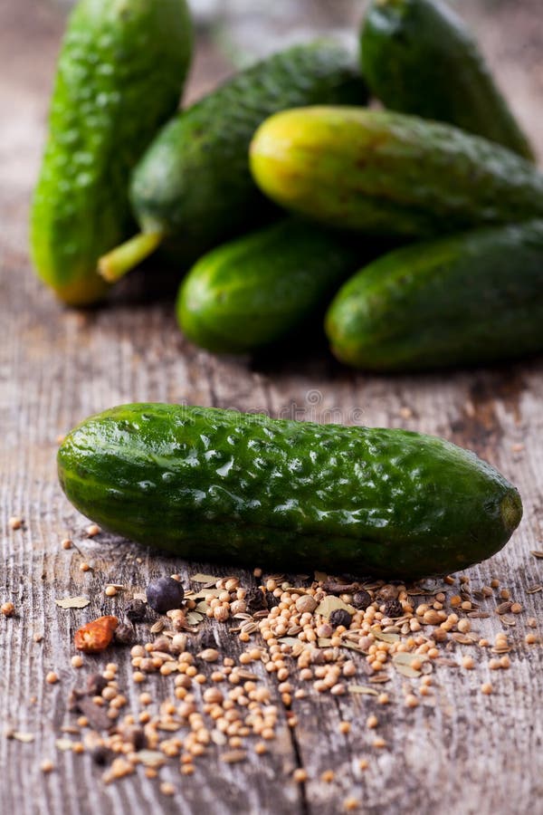 Gherkins stock image. Image of making, chili, eating - 20602895