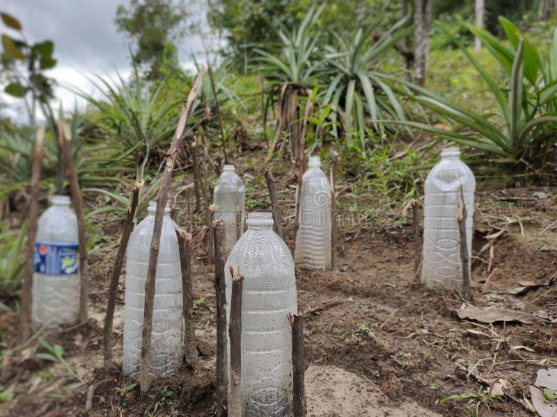 Hjguhf Stock Photos - Free & Royalty-Free Stock Photos from Dreamstime