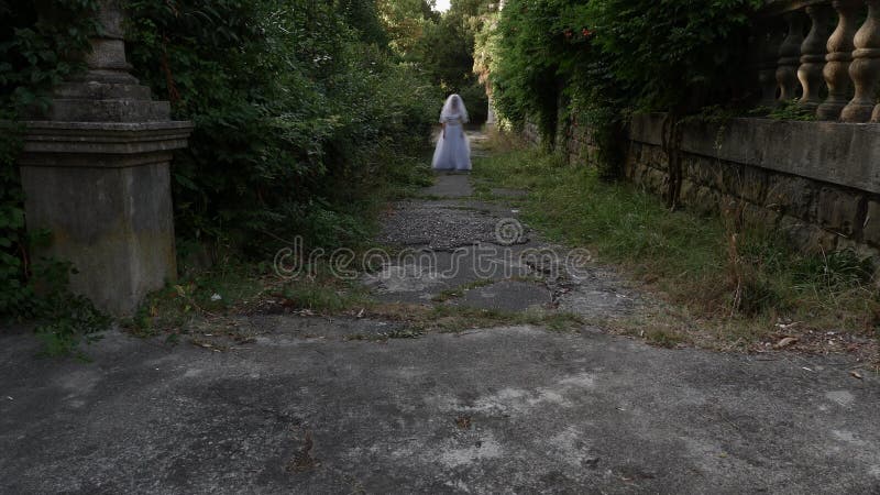 The Ghost of the Bride Wanders through the Ruins of the Old Castle ...