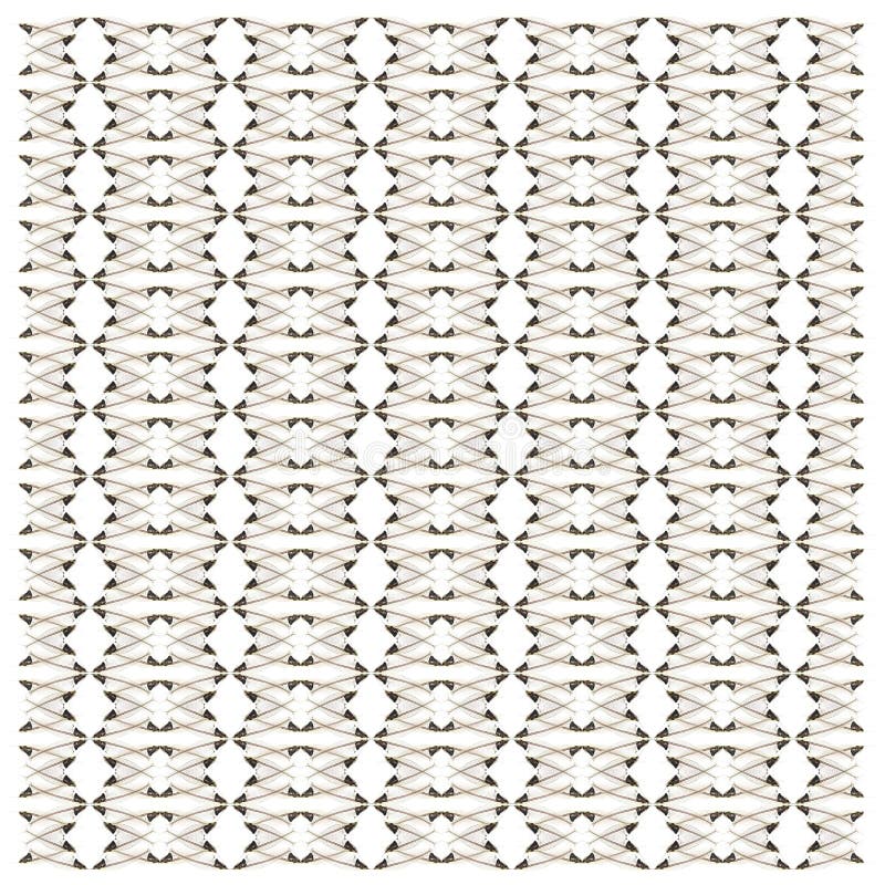 Ghost Catfish, Kryptopterus Minor, in Repeated Pattern Stock Image ...