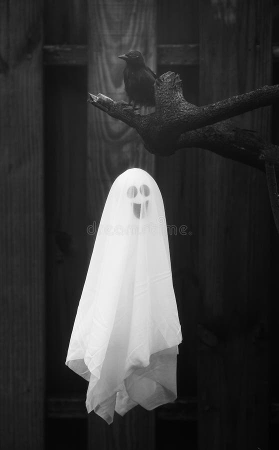 Ghost with Crow in the Cemetery Stock Photo - Image of terrible, dark ...