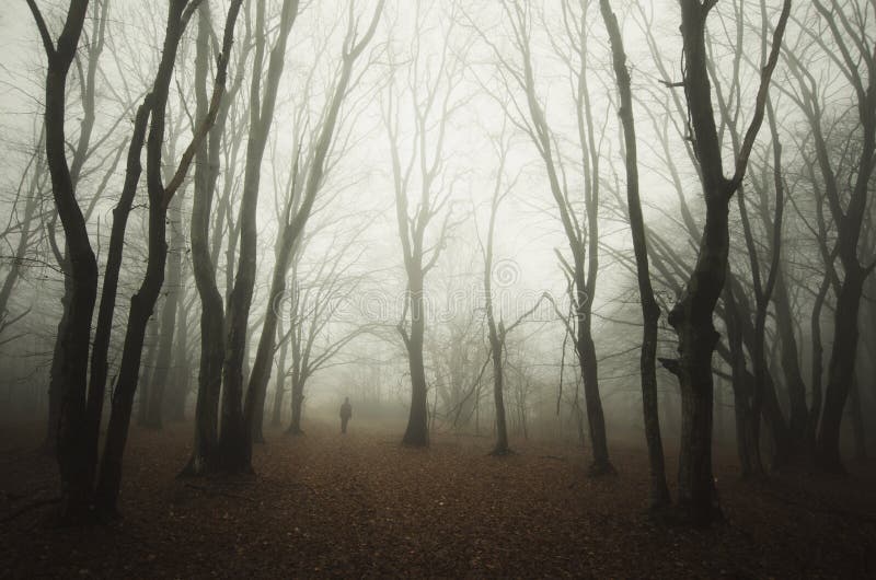 Ghost in the fog stock image. Image of eerie, creepy - 89884805