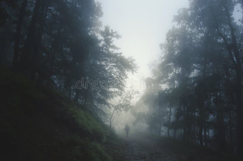 Ghost at forest edge stock image. Image of edge, autumn - 72742283
