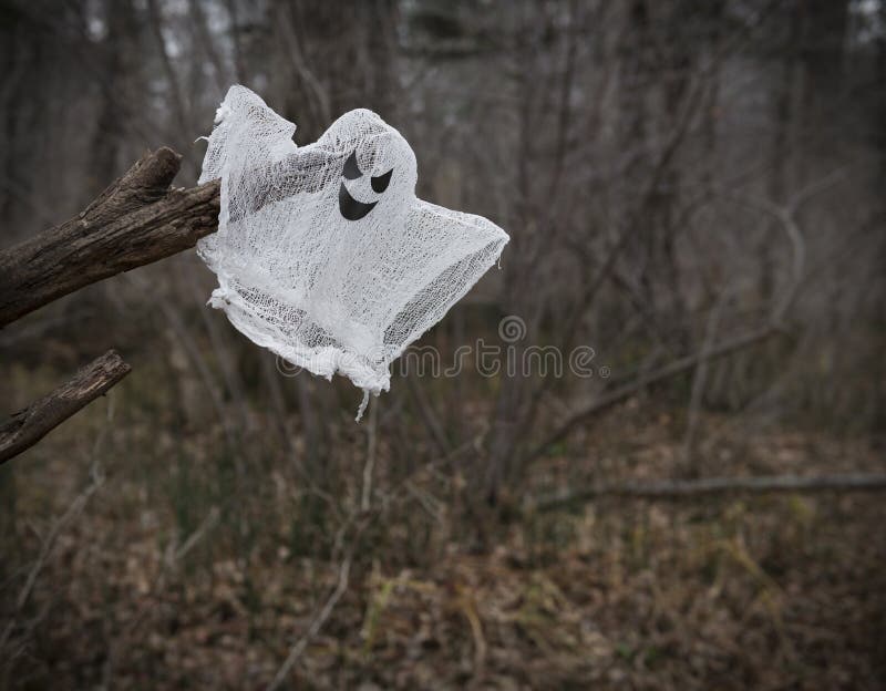 Ghost in the forest stock photo. Image of bogey, october - 46005860