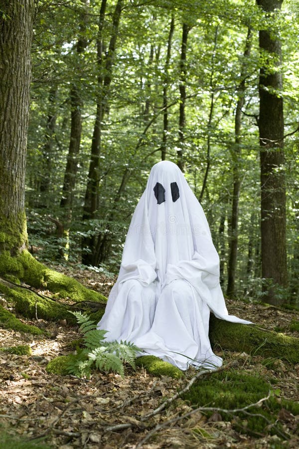 Ghost in forest stock photo. Image of sheet, summer, tree - 75772202