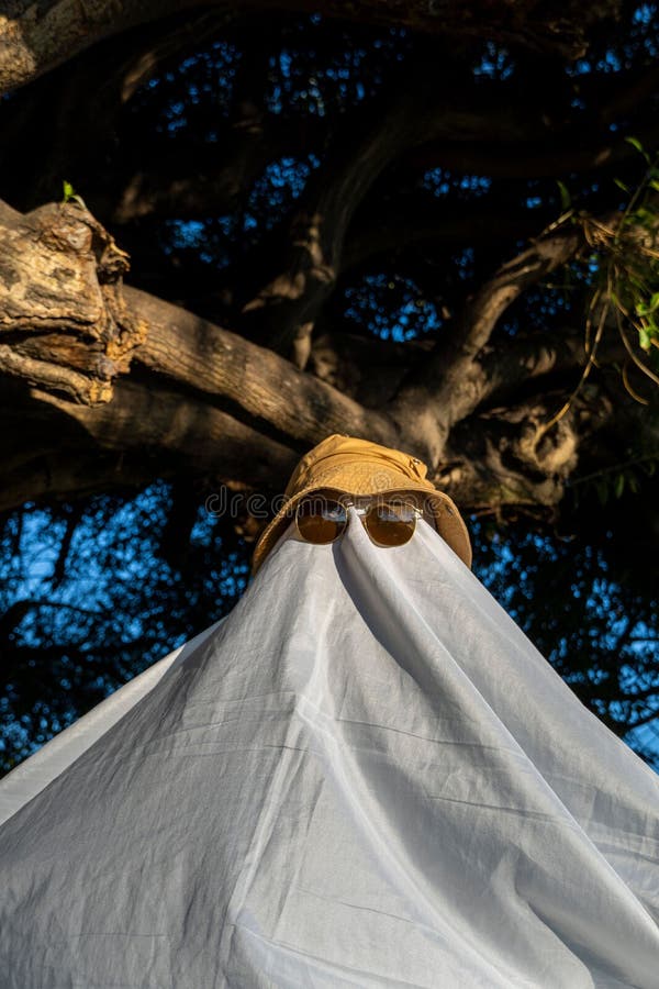 Ghost with a Hat and Glasses Standing in the Park Stock Image - Image ...