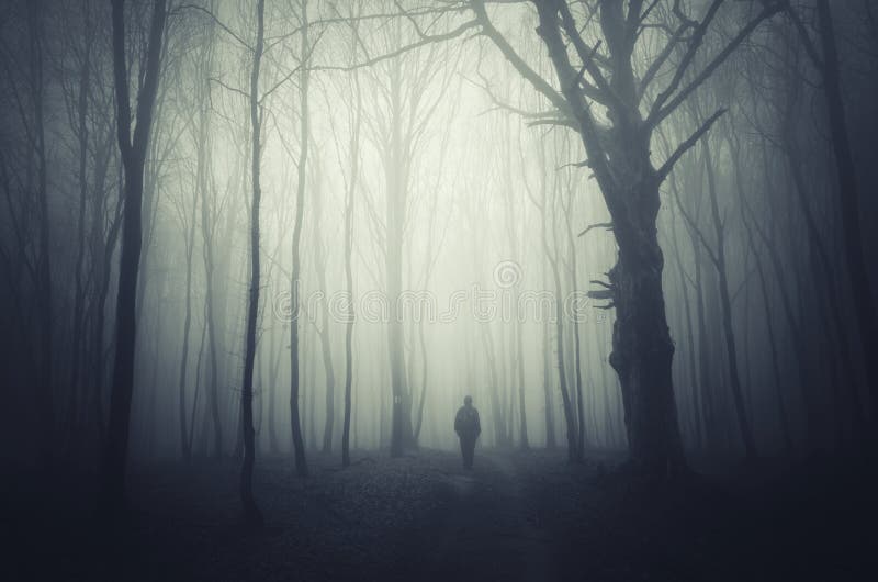 Ghost Apparition in Mysterious Haunted Forest on Halloween Night Stock ...