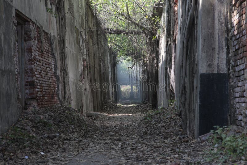 Ghost Old Building in India Stock Image - Image of construction ...