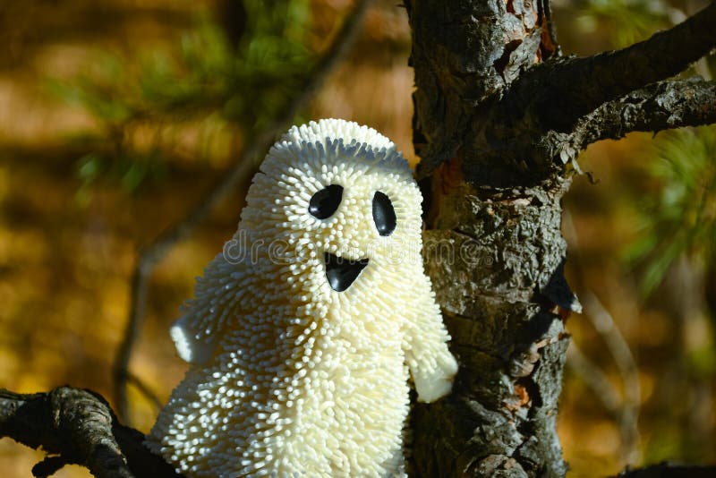 A Ghost Toy Stands on a Branch Leaning on a Tree Trunk in the Forest ...