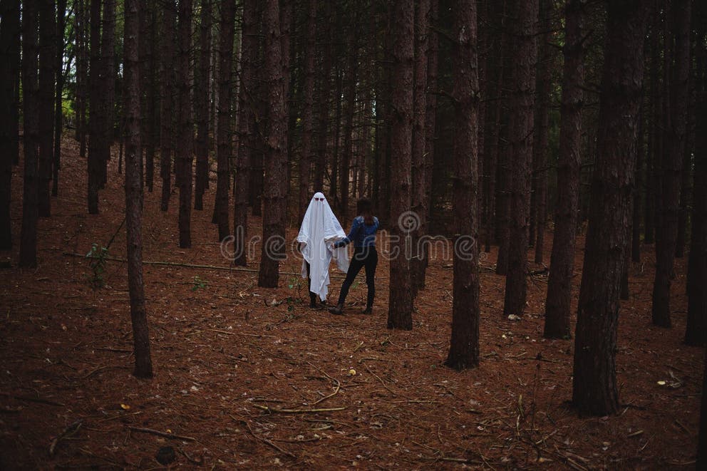 Canadian ghost stock image. Image of halloween, sheet - 236551387