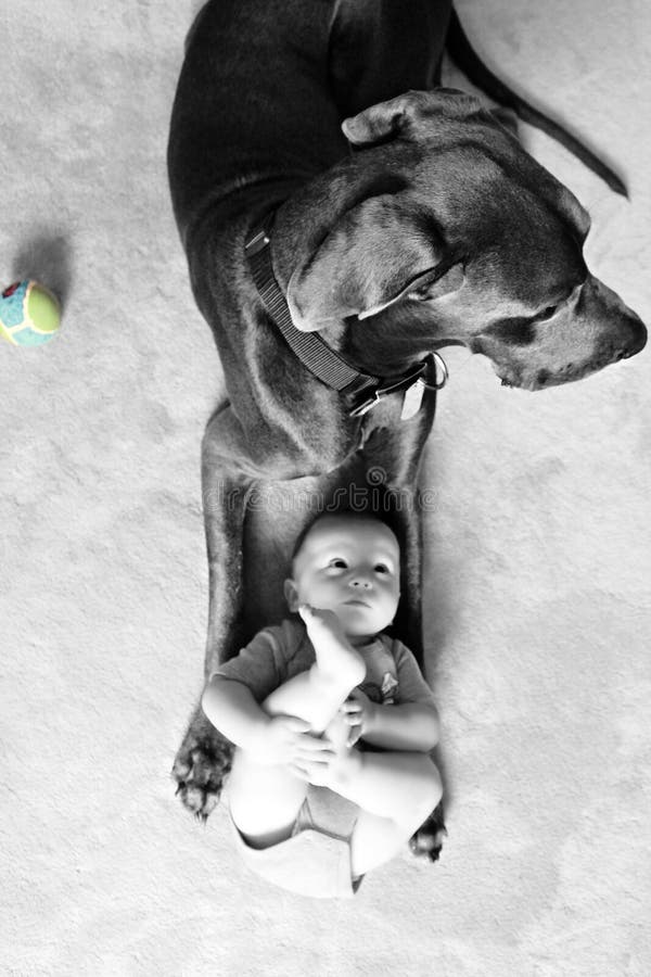 Giant Baby stock image. Image of newborn, protect, puppy - 32389759