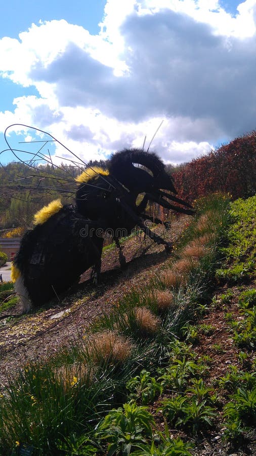 Giant bee editorial photography. Image of project, giant - 86774037