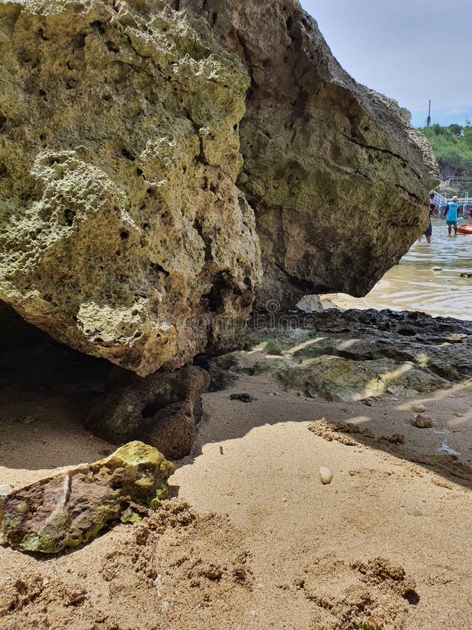 The Giant Big on the Side Beach Stock Photo - Image of recreation, side ...