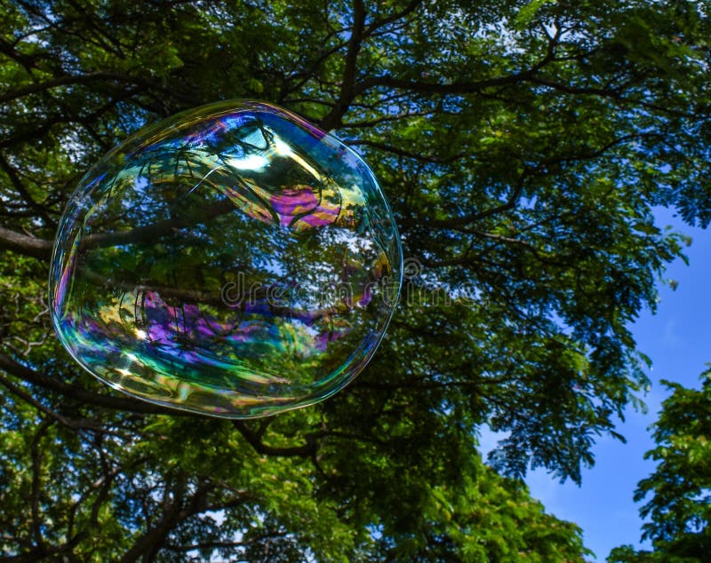 Giant Bubble in the Trees stock image. Image of gelatinous - 128728301