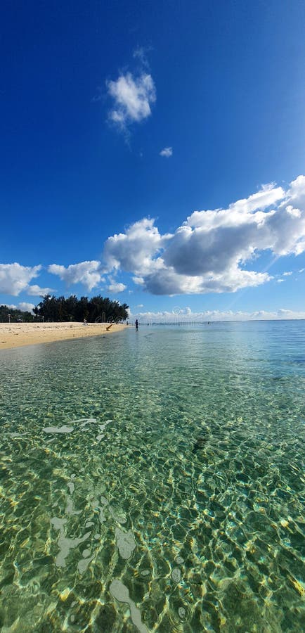 Giant benitier stock image. Image of benitier, coast - 254957891