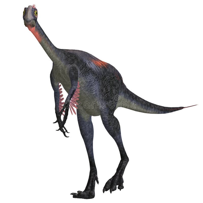 Giant Dinosaur Gigantoraptor Picture. Image: 9934480